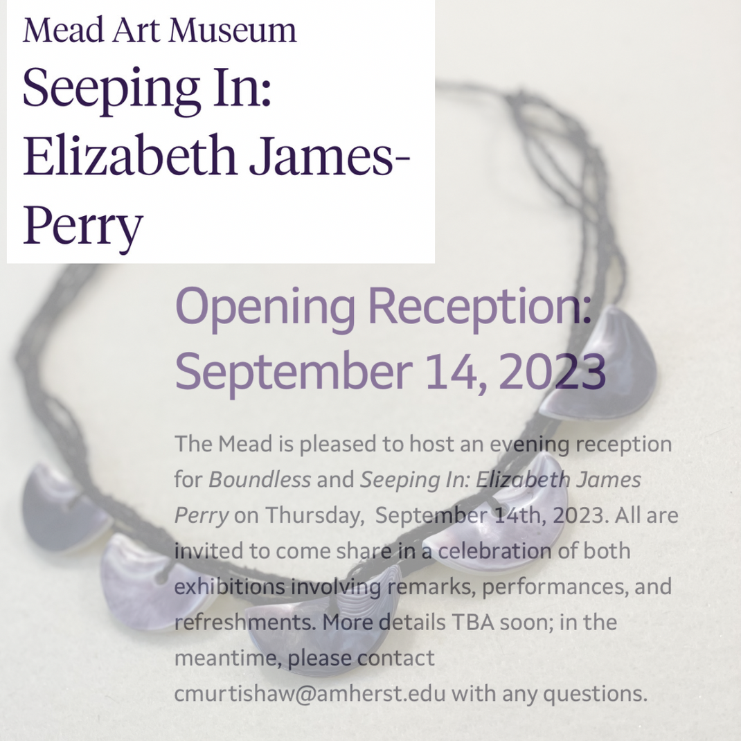 Elizabeth James Perry